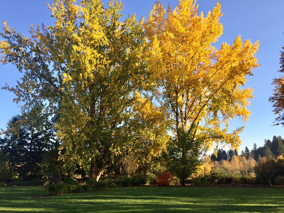 Portland, Oregon – Serendipity and Shamrocks